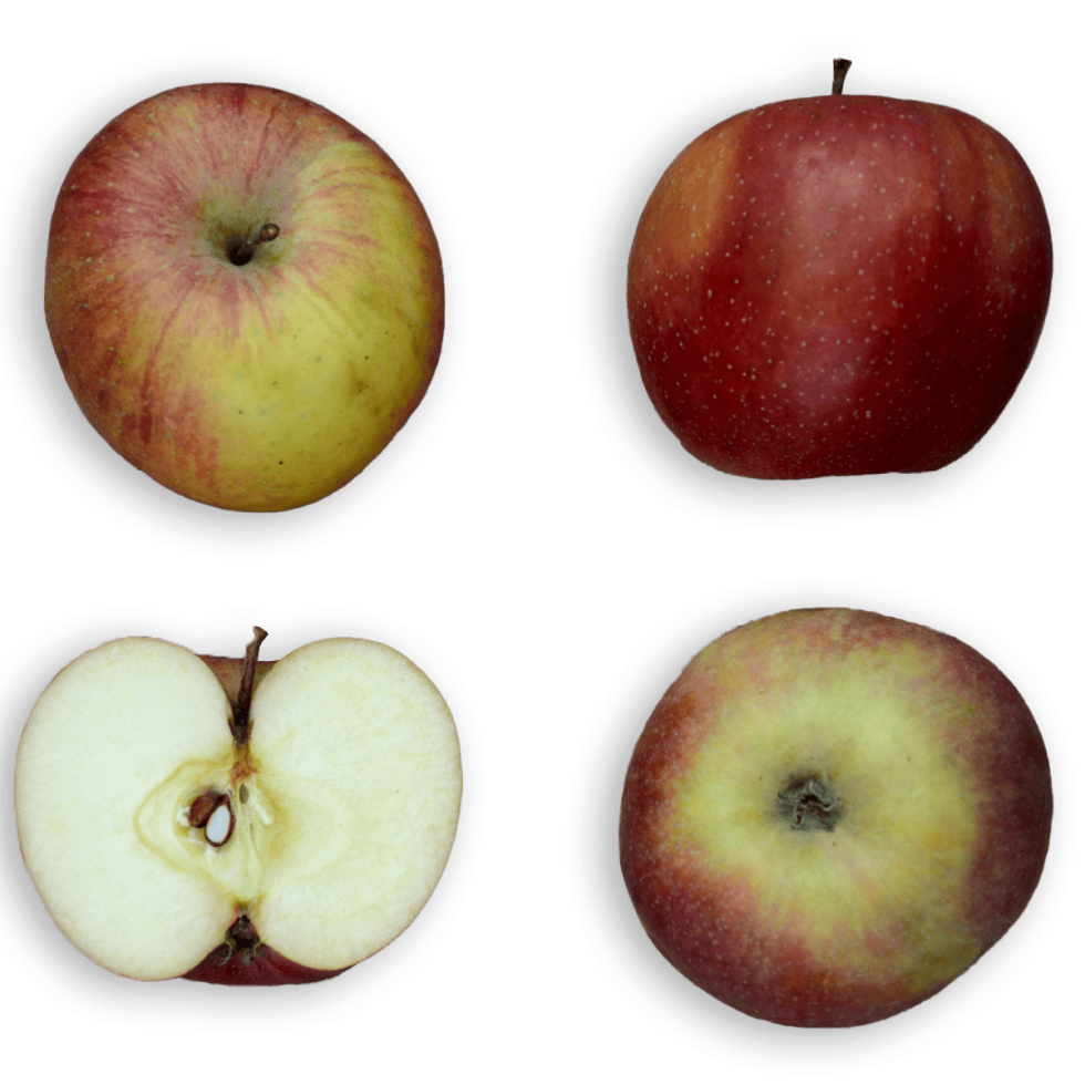 Home - Apfel essen nicht vergessen