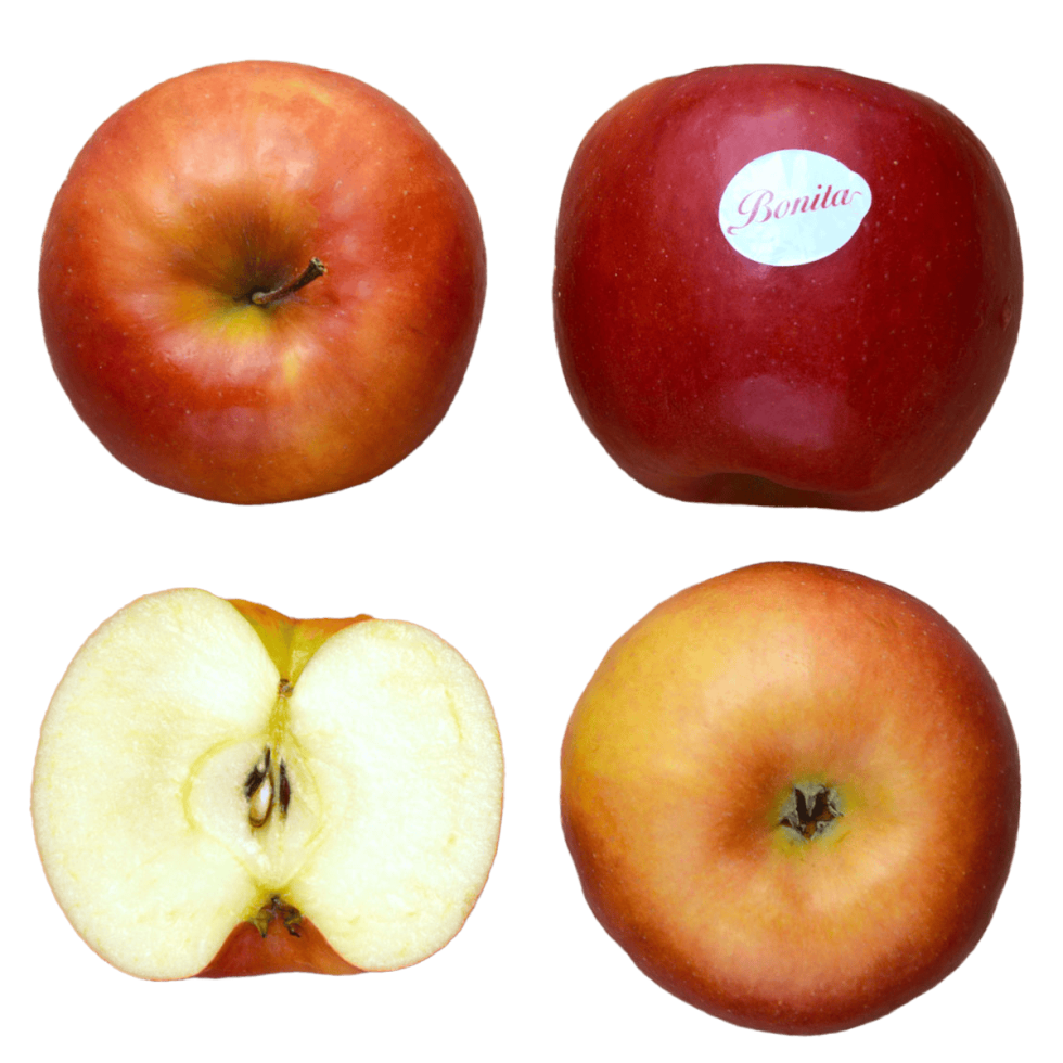 Home - Apfel essen nicht vergessen